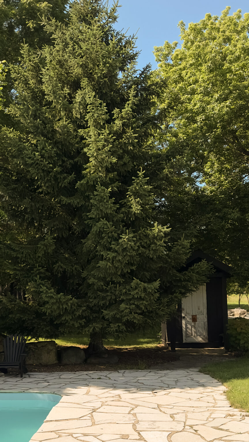 How to build an outhouse. A really pretty one. | DESIGN THE LIFE YOU ...