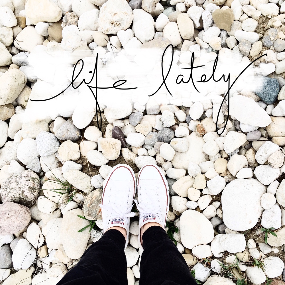 Life recap. What I've been up to lately.